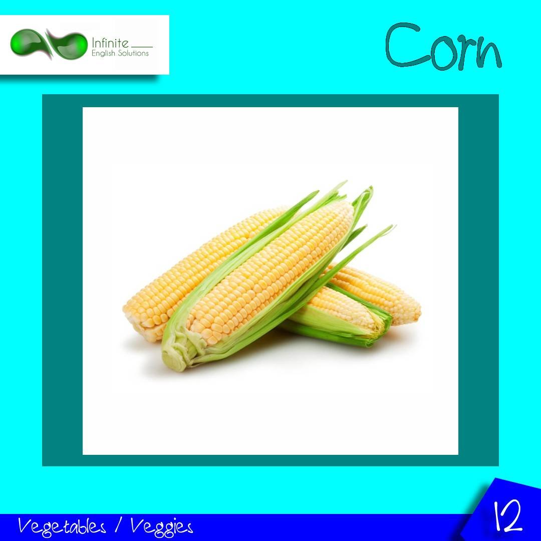 Vocabulario Ingles Para Principiantes