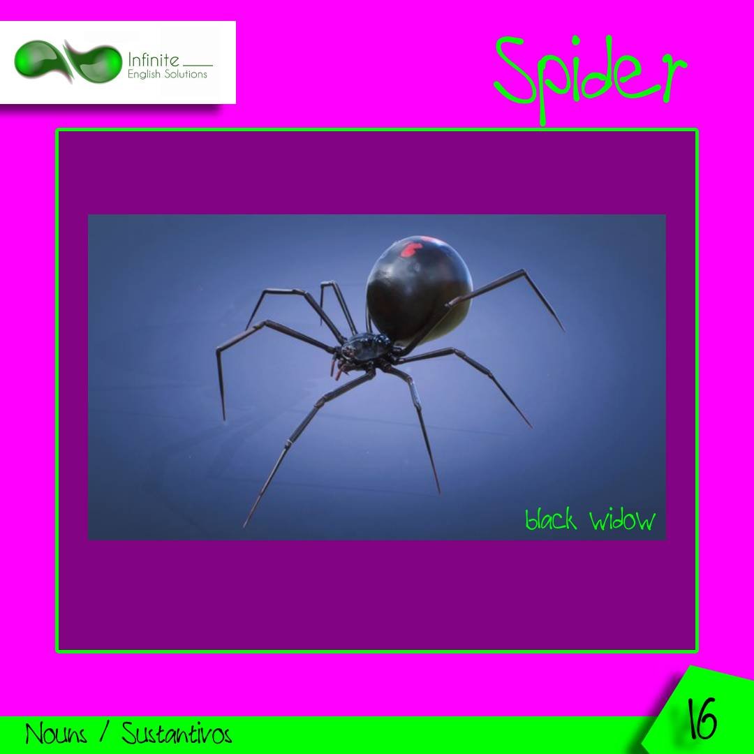 Vocabulario Ingles Para Principiantes