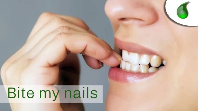 Vocabulario Ingles Para Principiantes